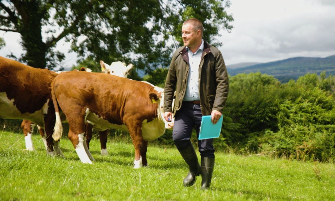 Farm Insurance Cork - Lehanes & Associates Ltd.